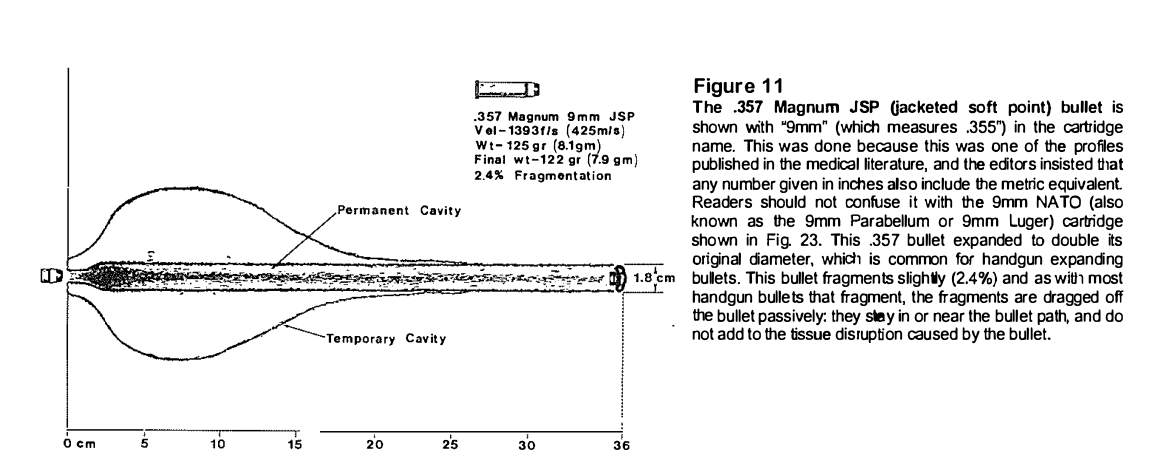 Calculating Permanent Cavity Wound Mass from Fackler Wound Profiles ...