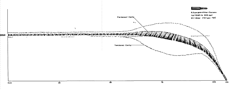 Calculating Permanent Cavity Wound Mass from Fackler Wound Profiles